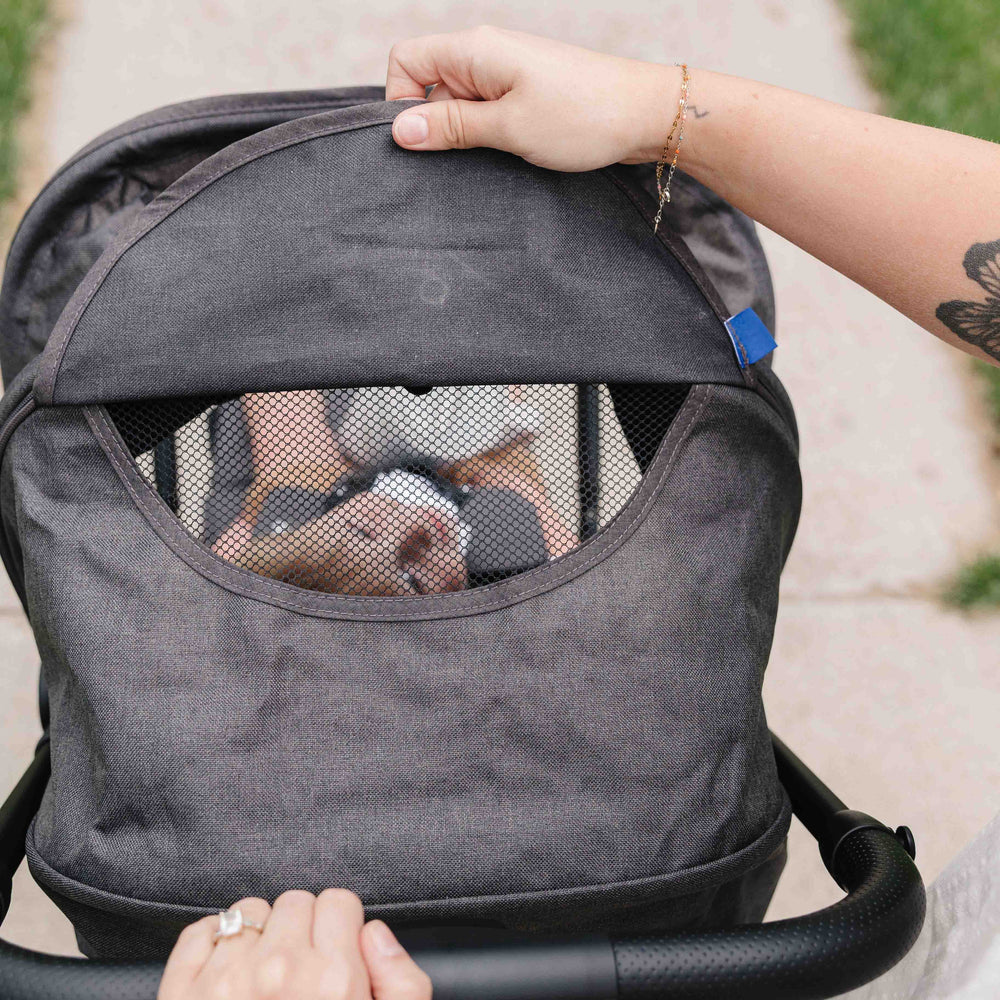 Pika Travel Stroller – Lightweight, Compact & Foldable | UNILOVE